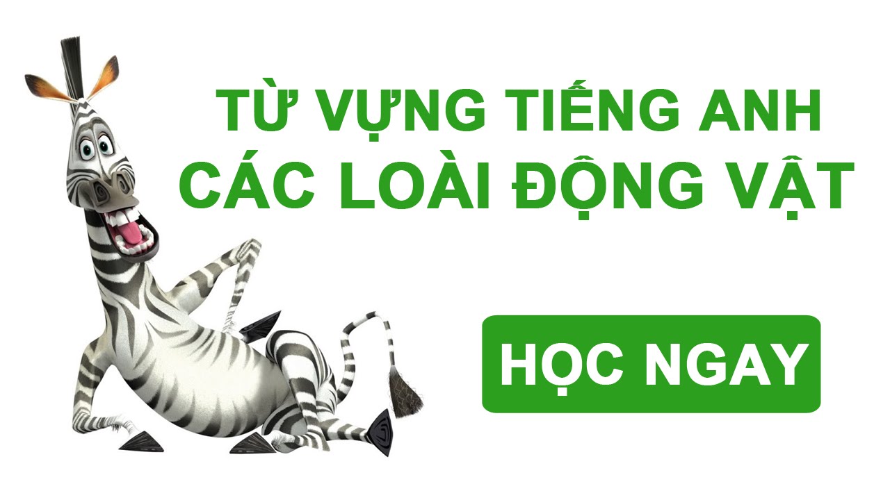 TÊN CÁC CON VẬT BẰNG TIẾNG ANH - IGE IELTS